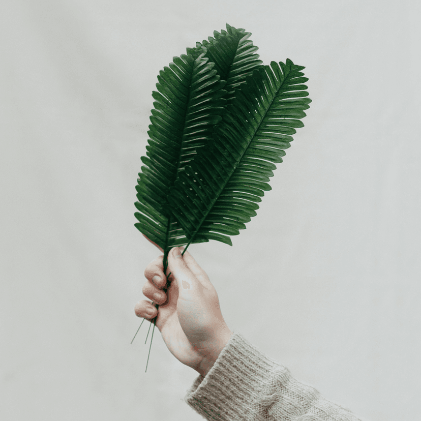 志田 雅美 | 人と組織の経営コンサルティングファーム | 株式会社MIMIGURI - ミミグリ