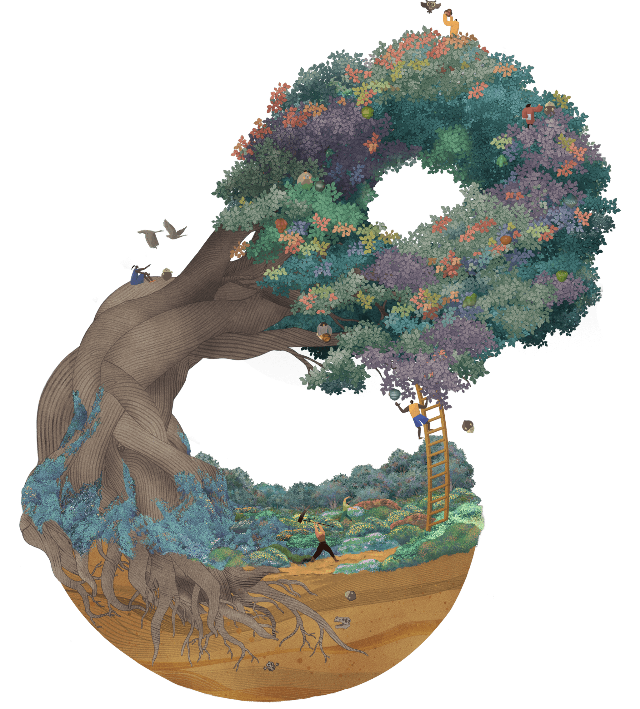 二宮みさき | 人と組織の経営コンサルティングファーム | 株式会社MIMIGURI - ミミグリ